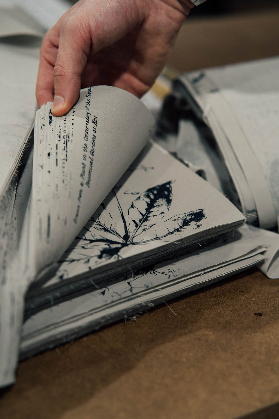 Contact – Alexander Manufacturing